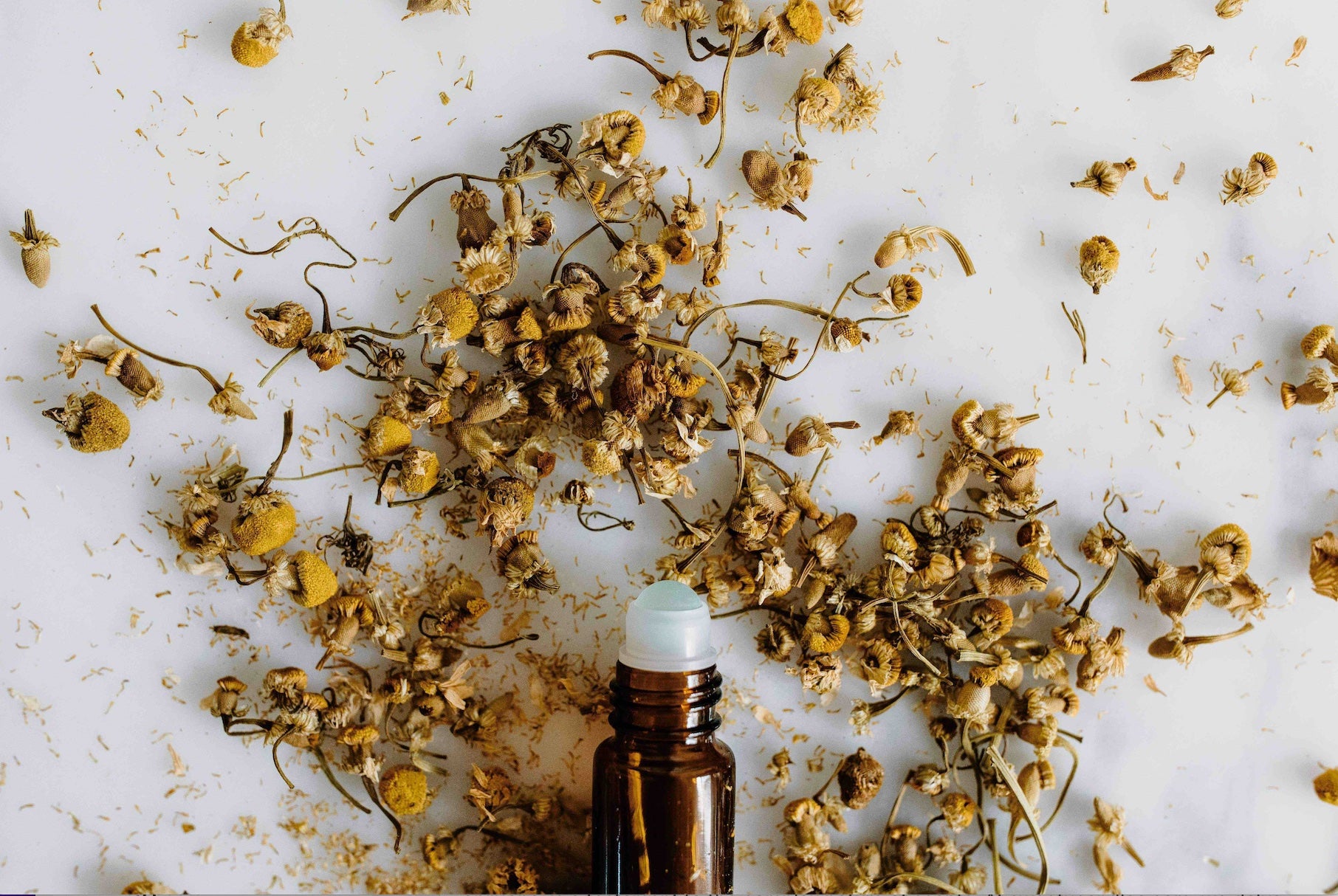 UNDERSTANDING THE MODERN ALLURE OF PATCHOULI – Sweet U Candles